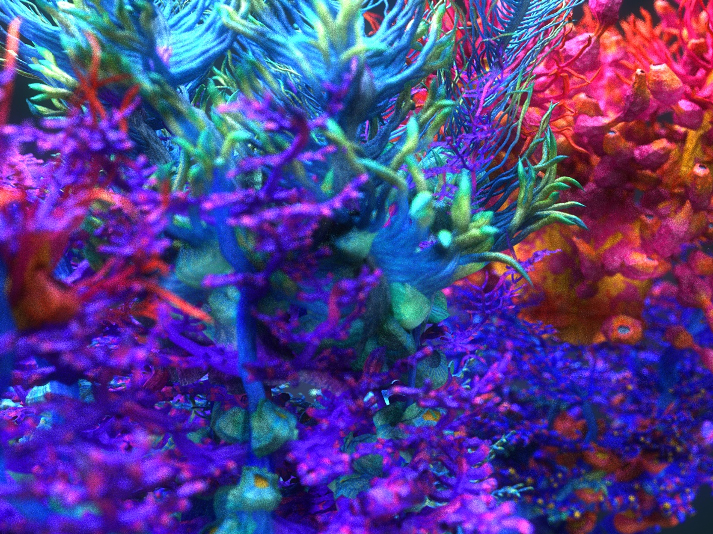 Coral reef ecosystem pack 3D model - TurboSquid 1368596