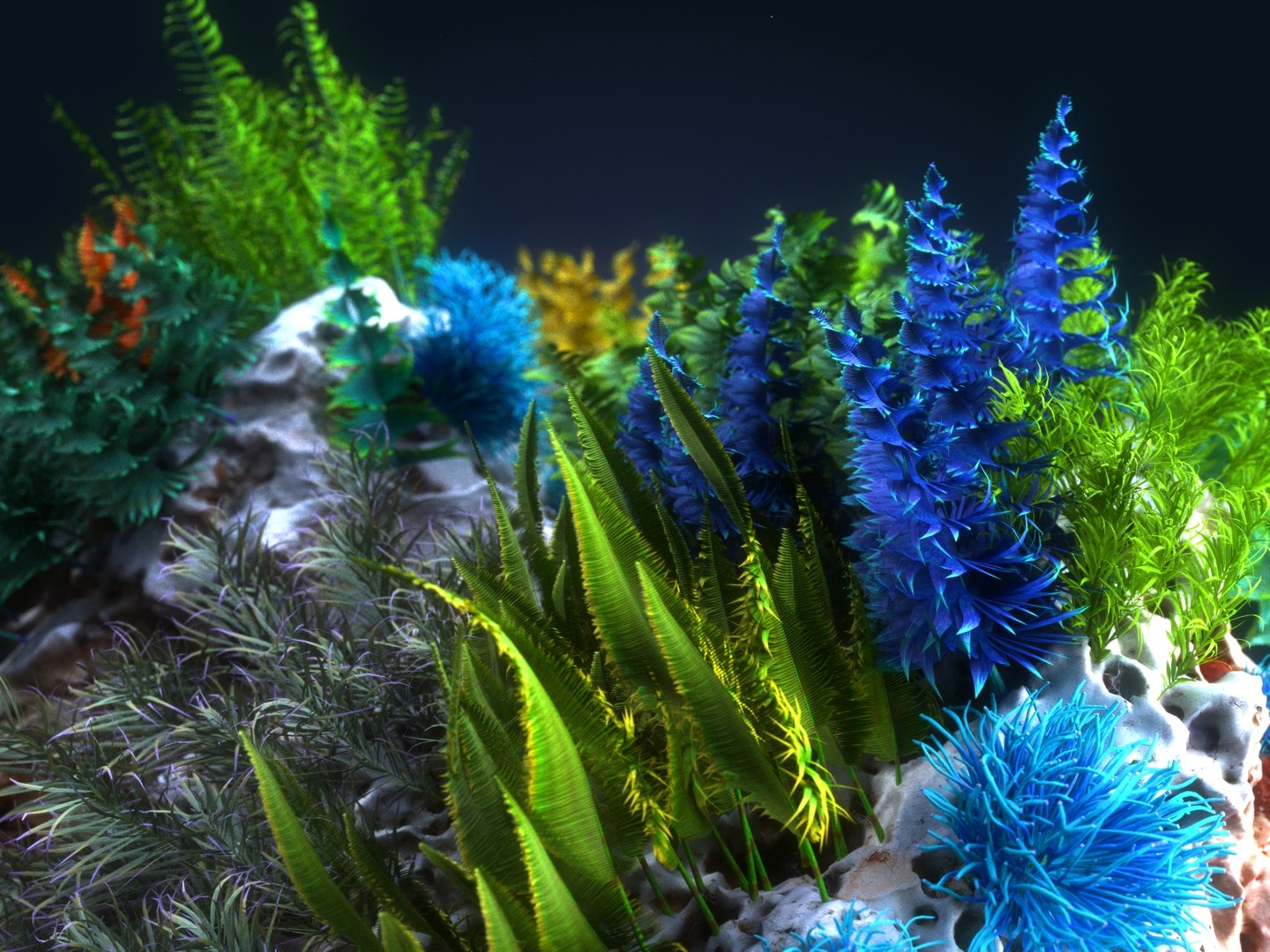 Coral reef ecosystem pack 3D model - TurboSquid 1368596