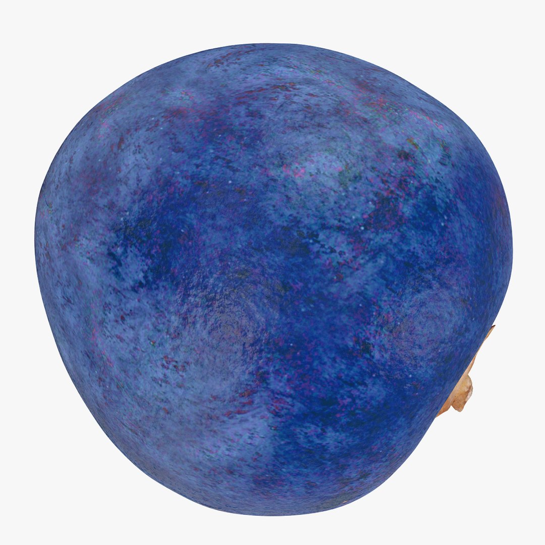 3d juniper berry model