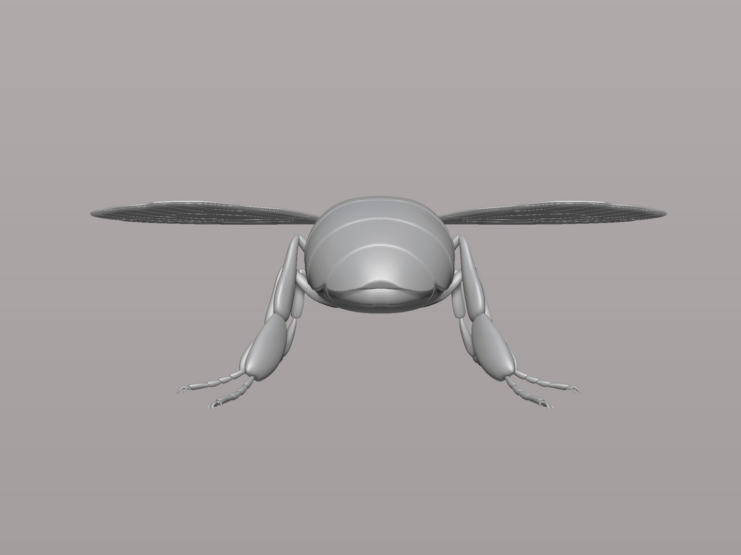 Free bee 3D model - TurboSquid 2164956