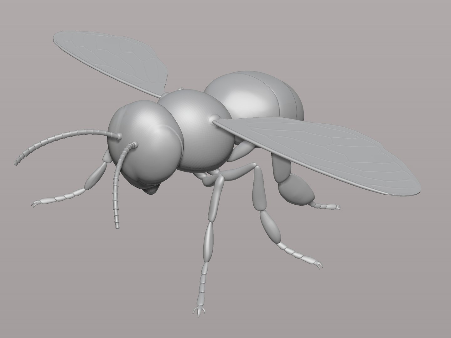 Free bee 3D model - TurboSquid 2164956