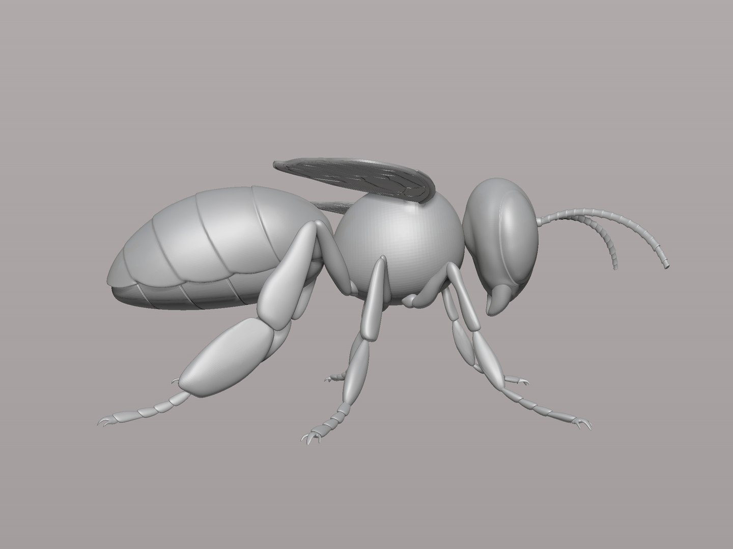 Free bee 3D model - TurboSquid 2164956