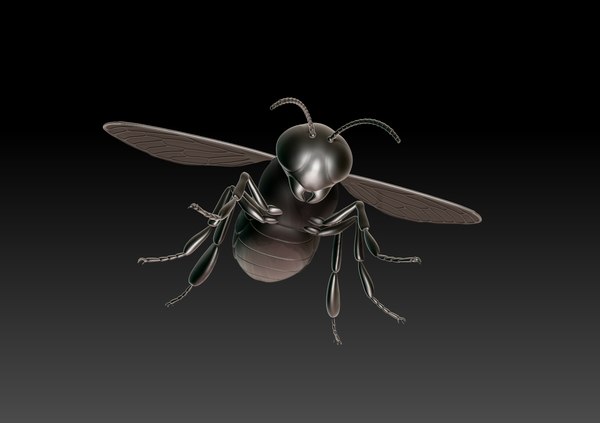 Free Insect 3D Models for Download | TurboSquid