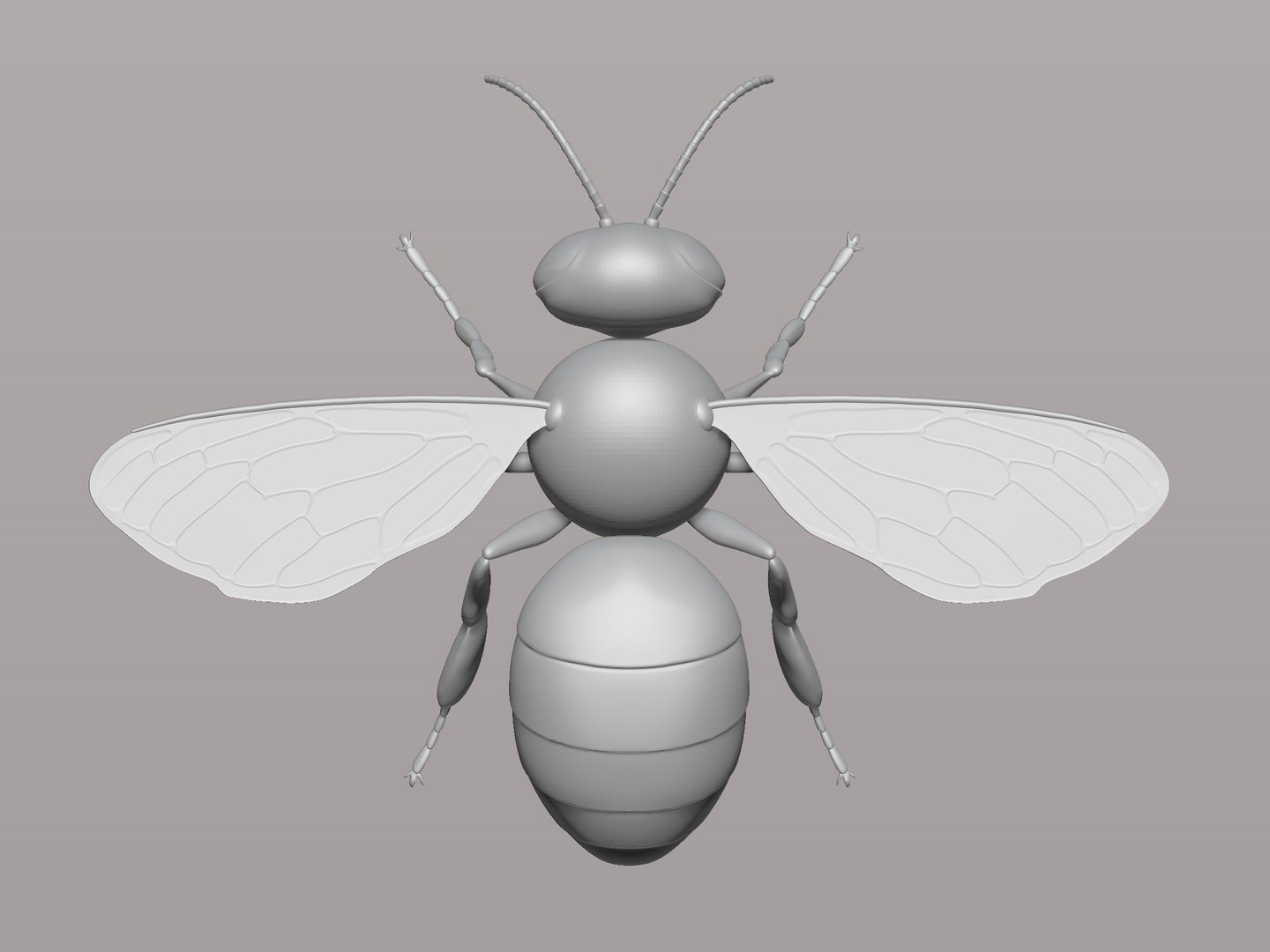 Free bee 3D model - TurboSquid 2164956