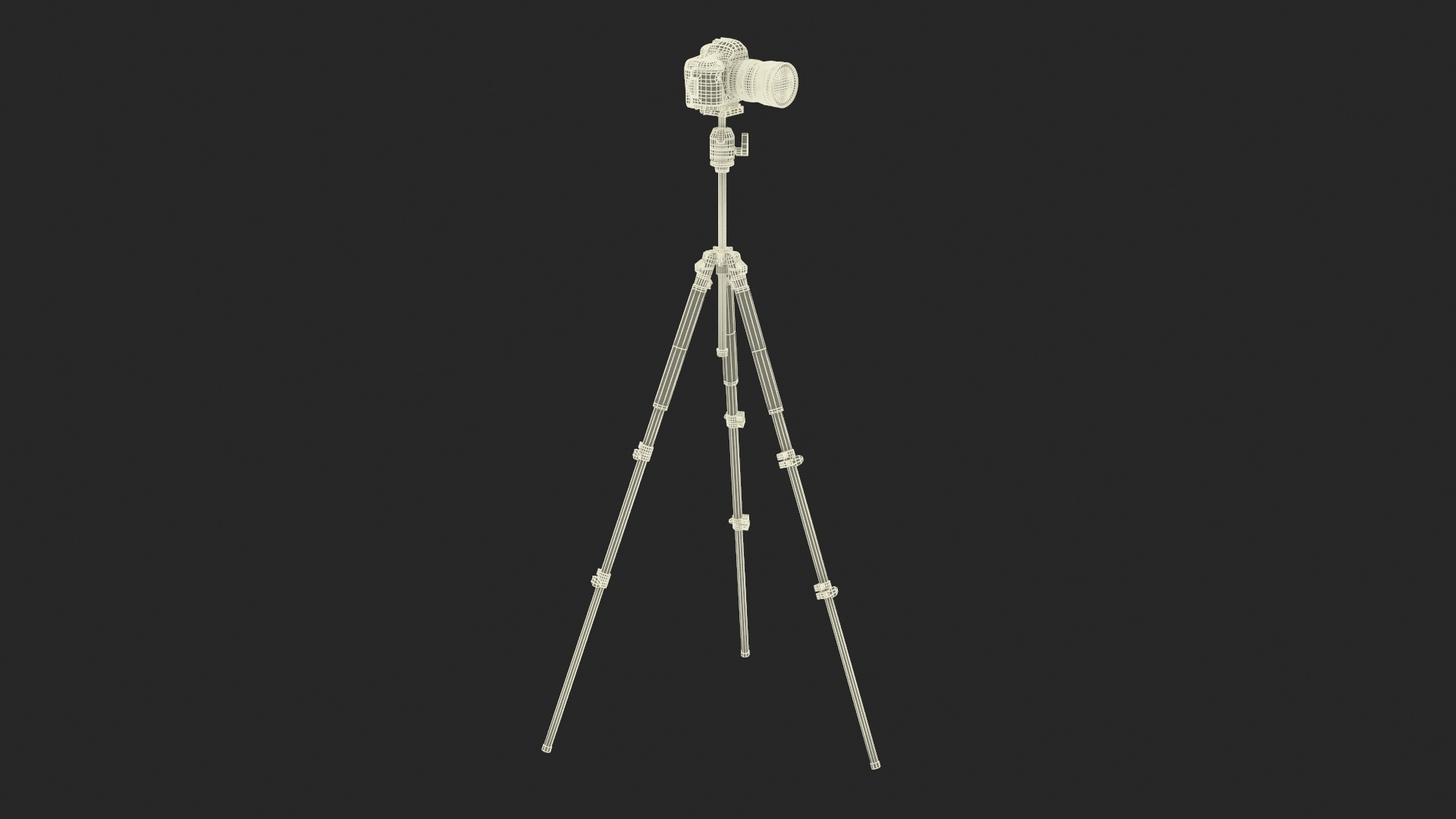 Professional Camera Tripod With DSLR 3D Model - TurboSquid 2212271