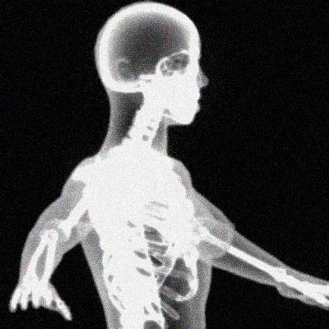 X-ray Skeleton Xray 3d Max