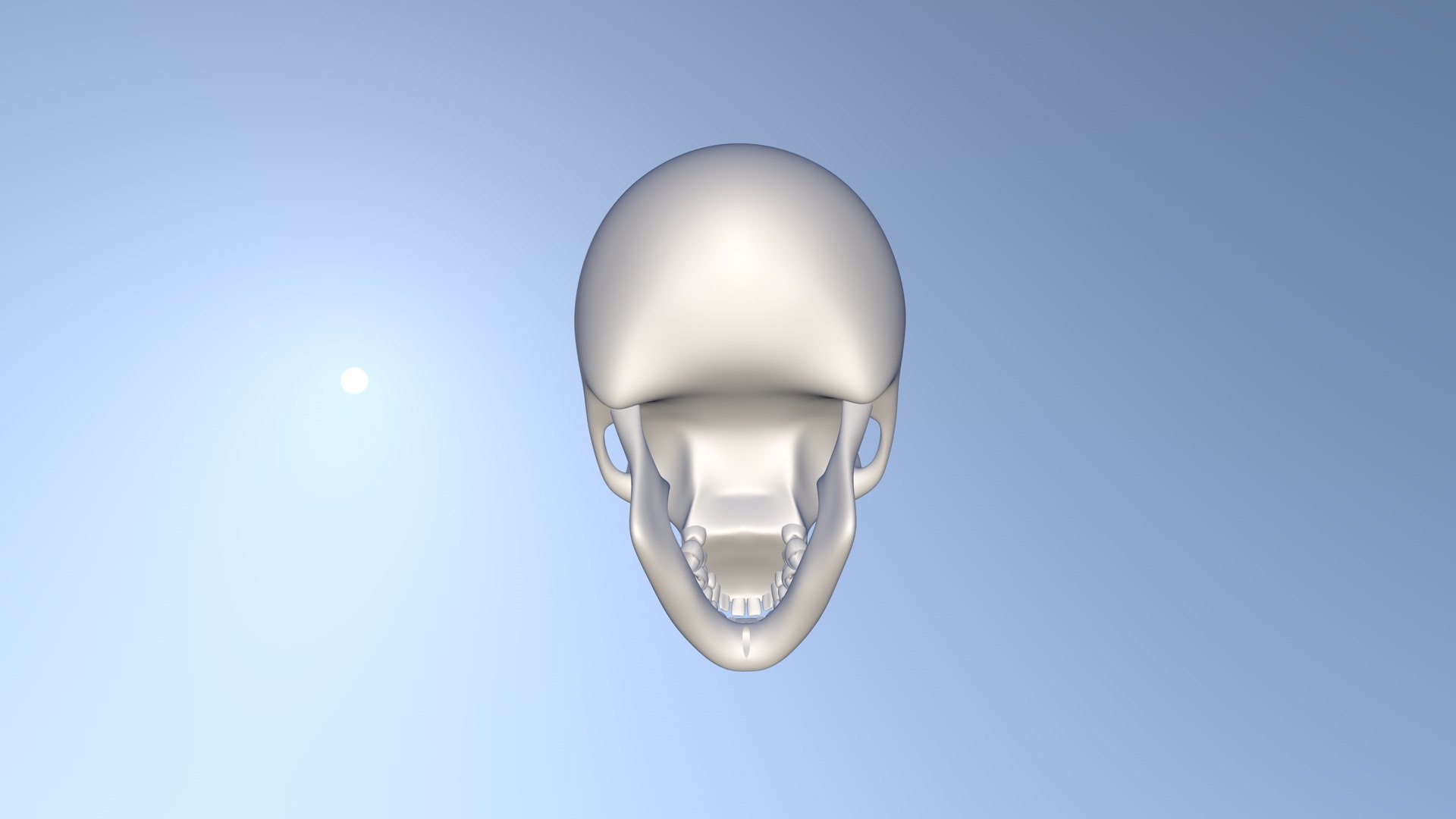 Lowpoly Skeleton Head Model - TurboSquid 1950692