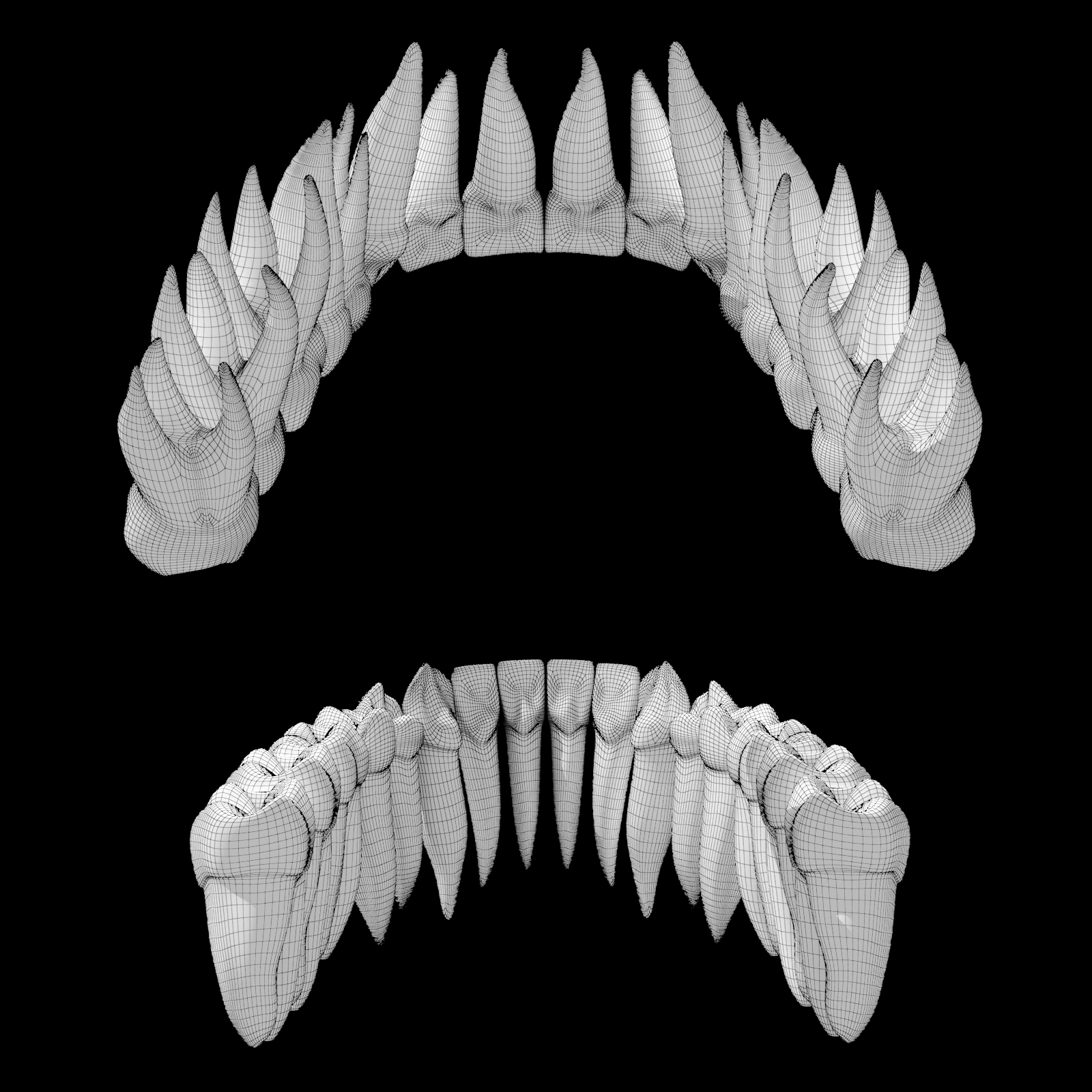 3d human teeth