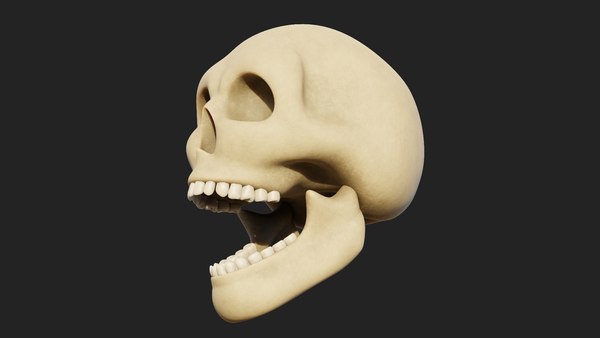 3D Stylized Skull with Realistic Teeth - TurboSquid 1953025