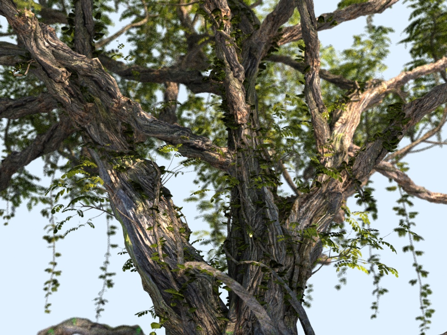 Forest Pack 20 Tree 3D Model - TurboSquid 1286936