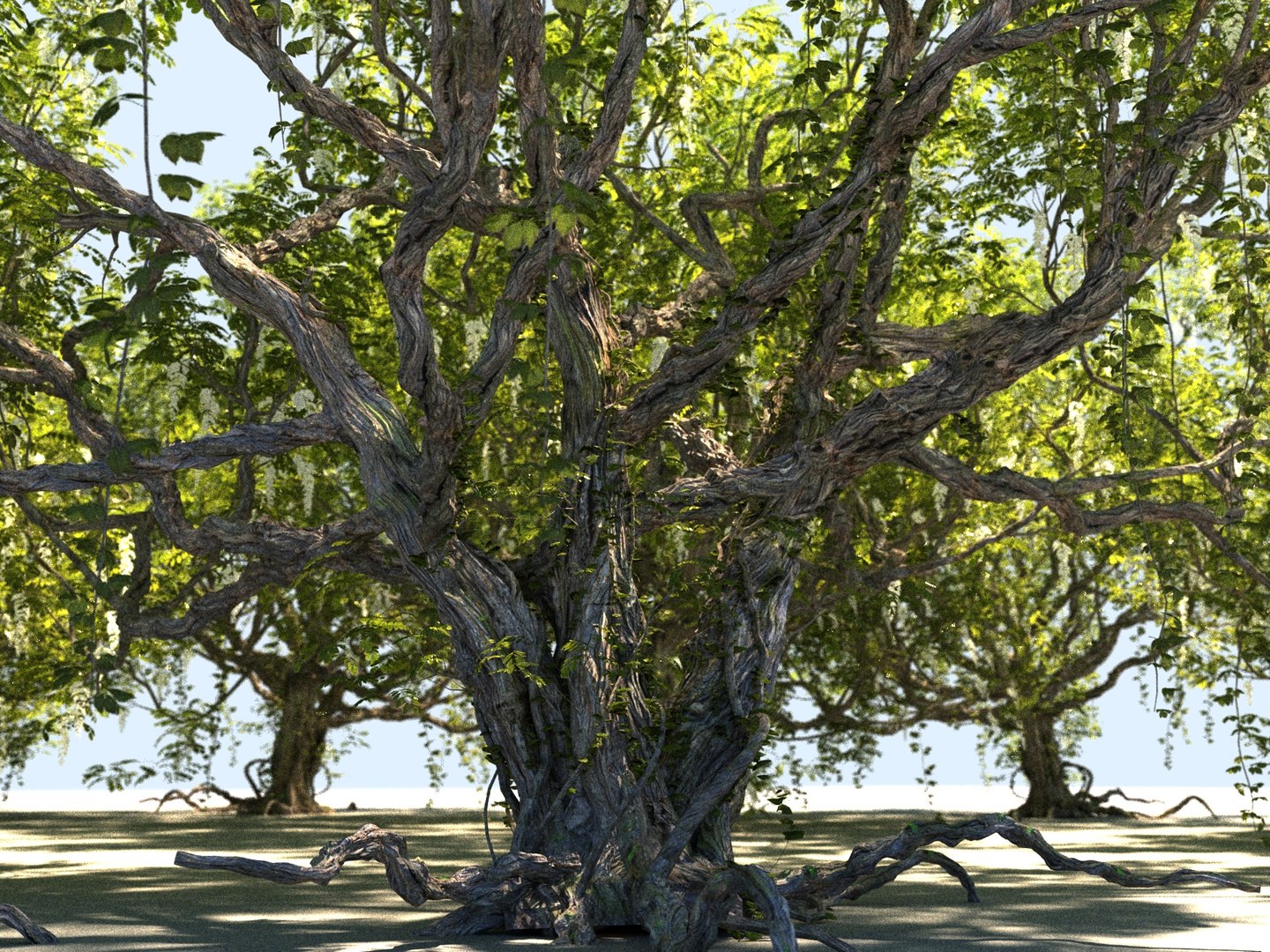 Forest Pack 20 Tree 3D Model - TurboSquid 1286936