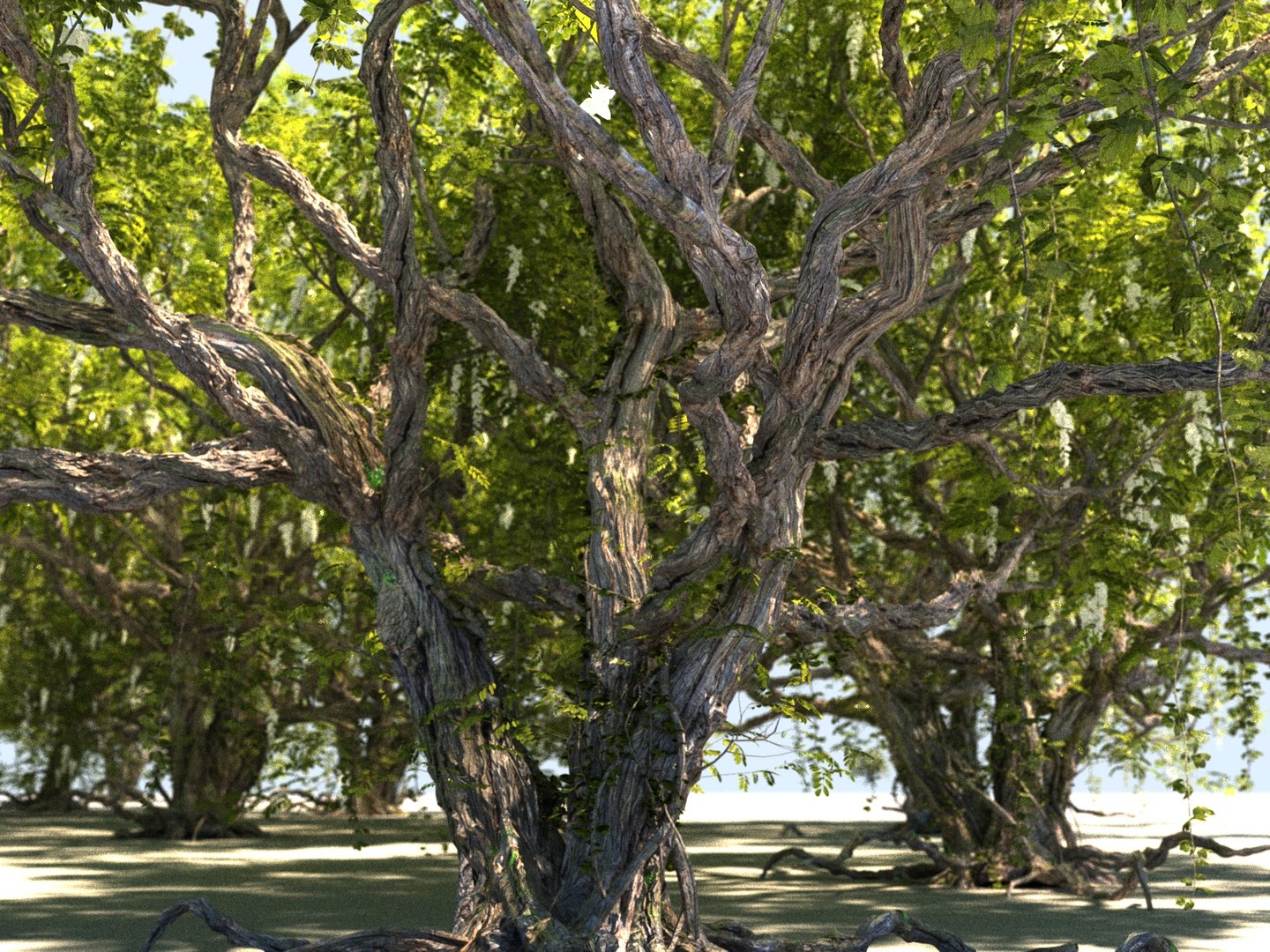 Forest Pack 20 Tree 3D Model - TurboSquid 1286936