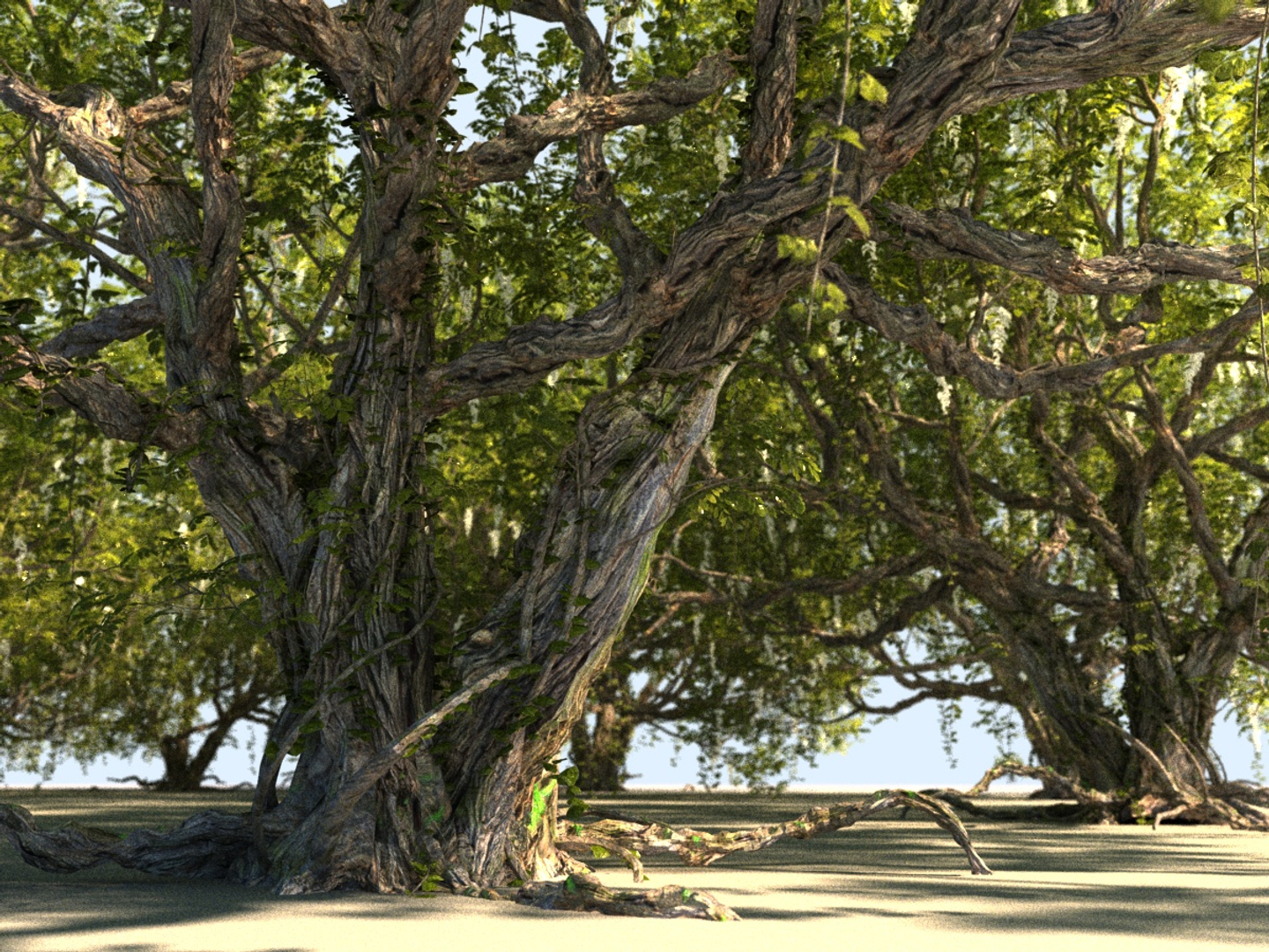 Forest Pack 20 Tree 3D Model - TurboSquid 1286936