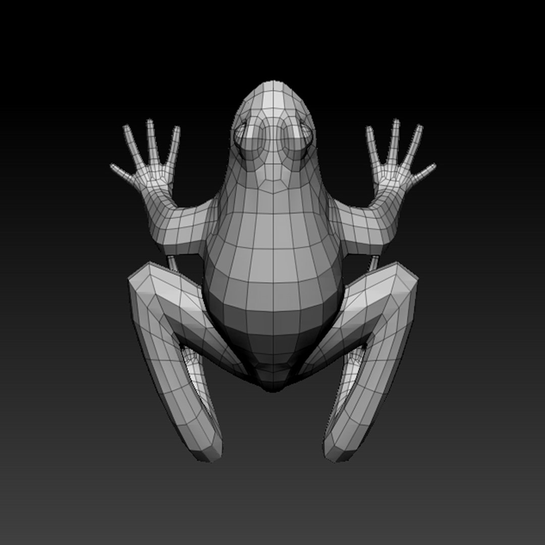 Frog 3D Model - TurboSquid 1322910