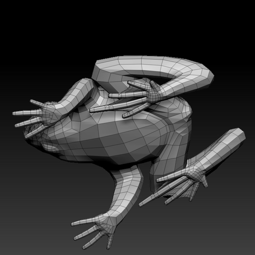 Frog 3D Model - TurboSquid 1322910