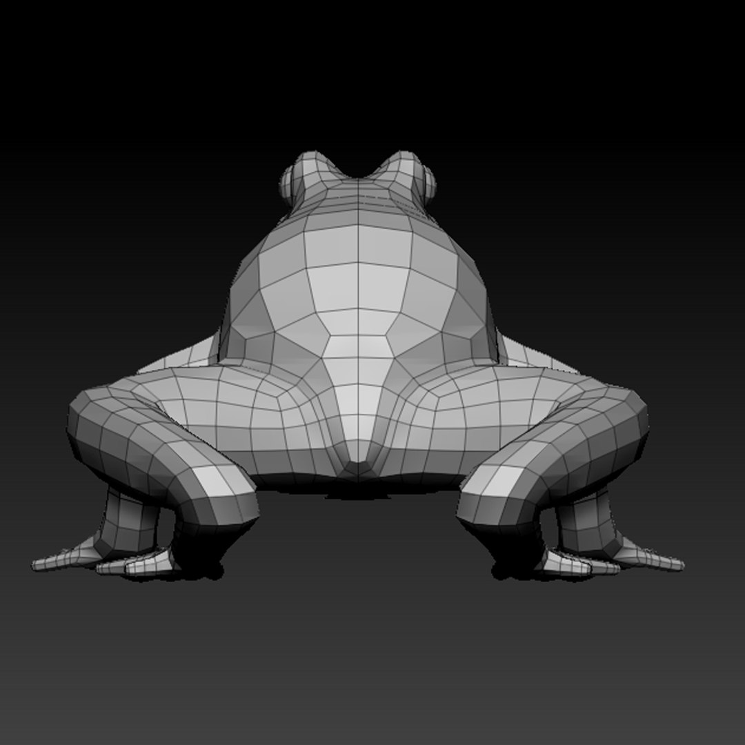 Frog 3D Model - TurboSquid 1322910