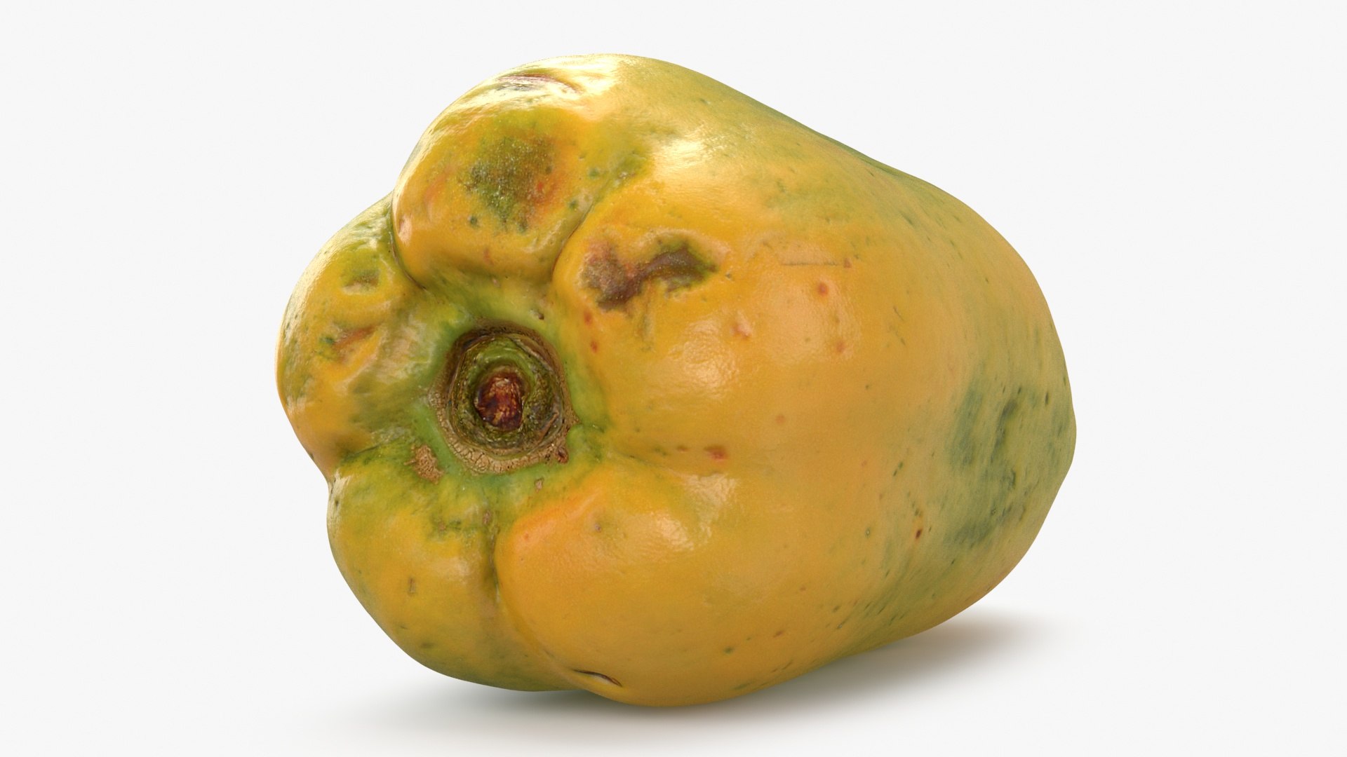 Papaya 3D Model - TurboSquid 2120944