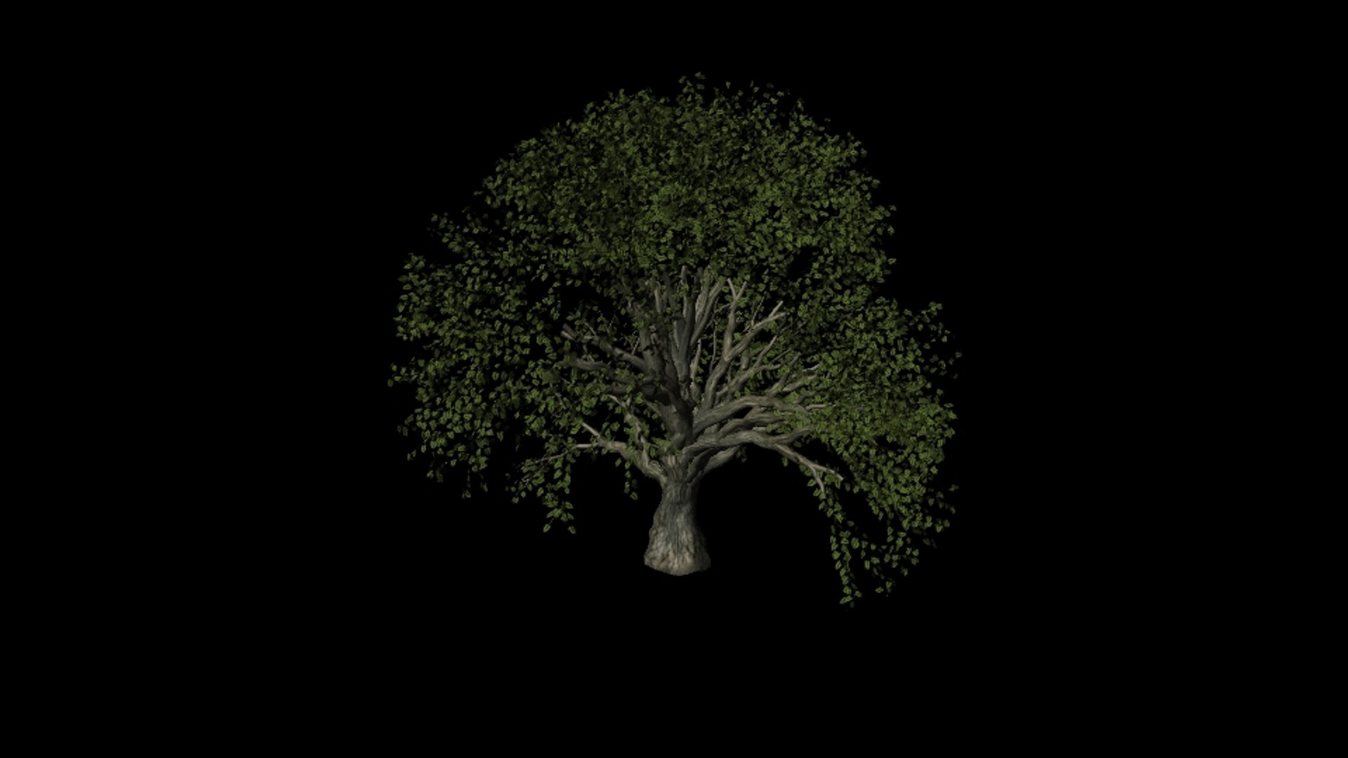 3d ma tree