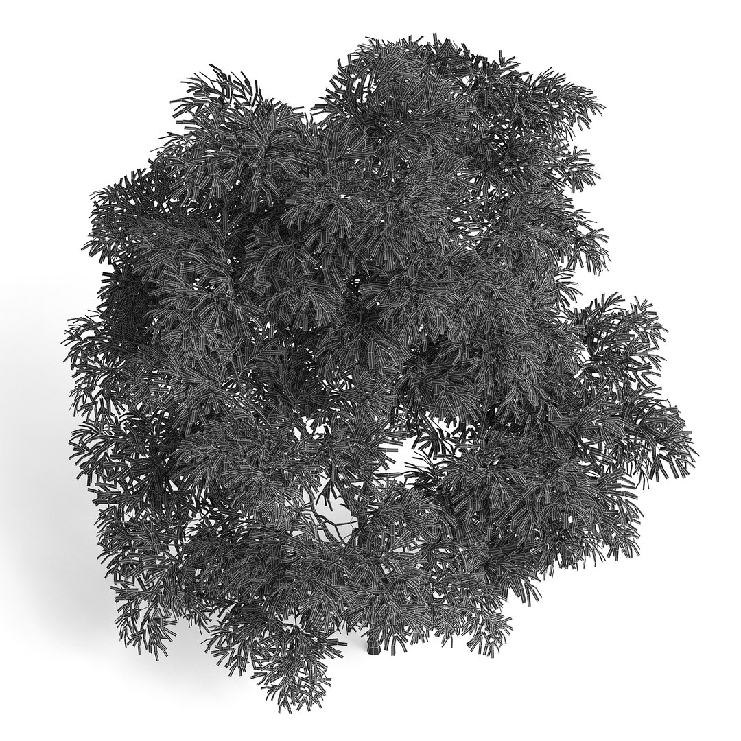 Olive Tree II 3D - TurboSquid 1976728