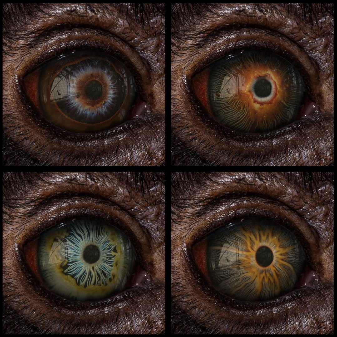 Beast Fantasy Eyes Vol 02 Model - TurboSquid 2283880