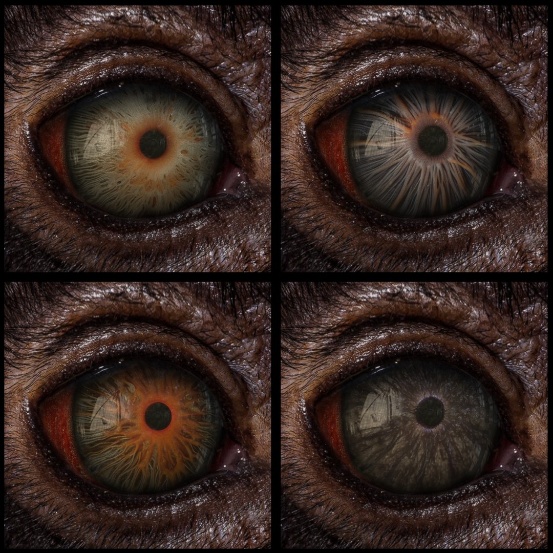 Beast Fantasy Eyes Vol 02 Model - TurboSquid 2283880