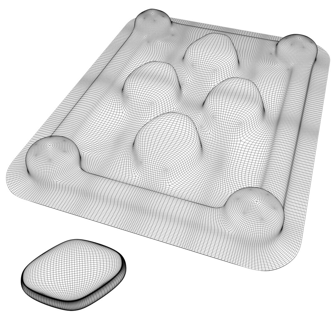 3d Blister Packaging Model