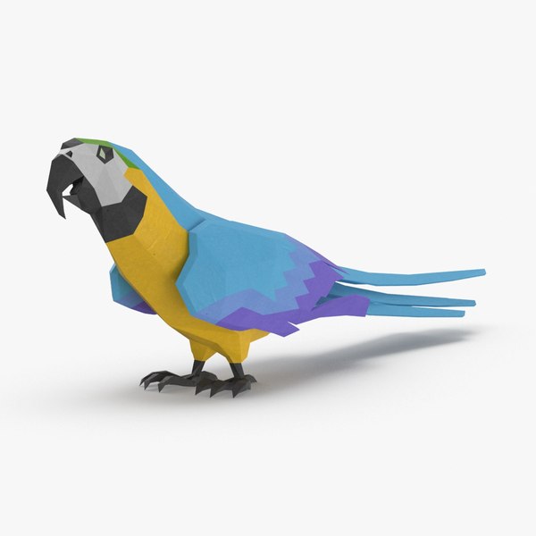 Cartoon Parrot 3D Models for Download | TurboSquid