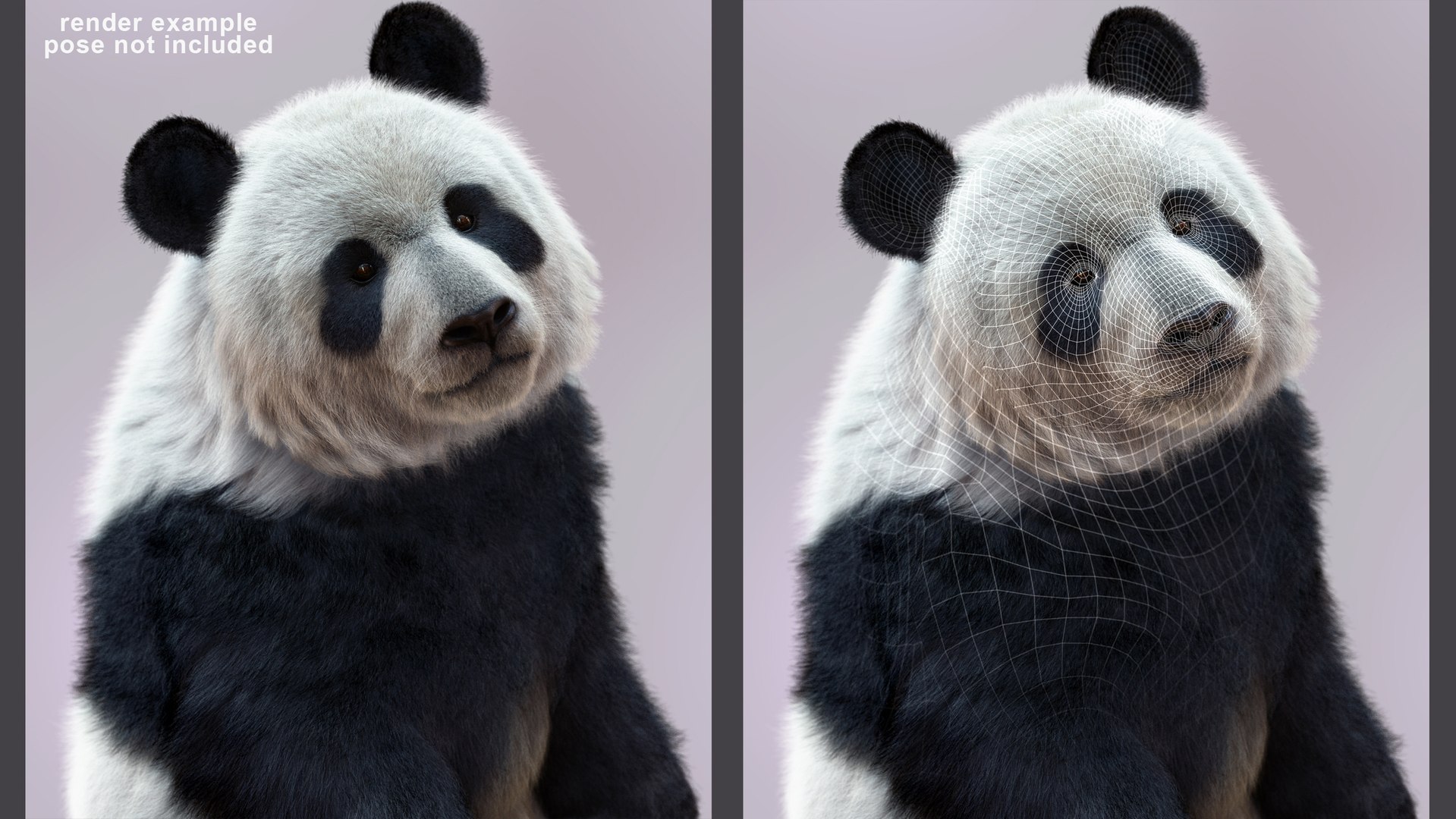 3D Giant Panda RIG XGEN-CORE - TurboSquid 2088821