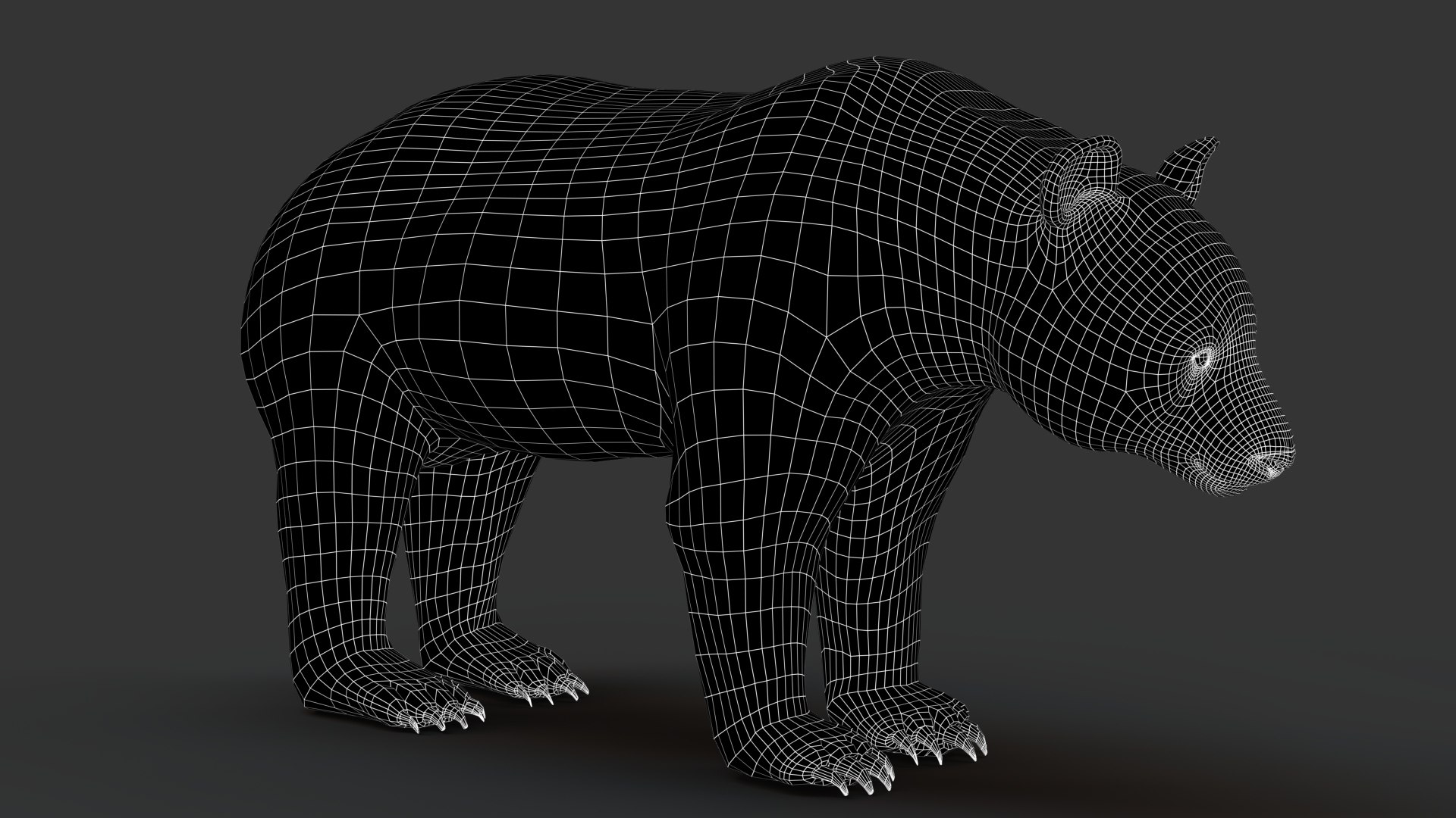 3D Giant Panda RIG XGEN-CORE - TurboSquid 2088821