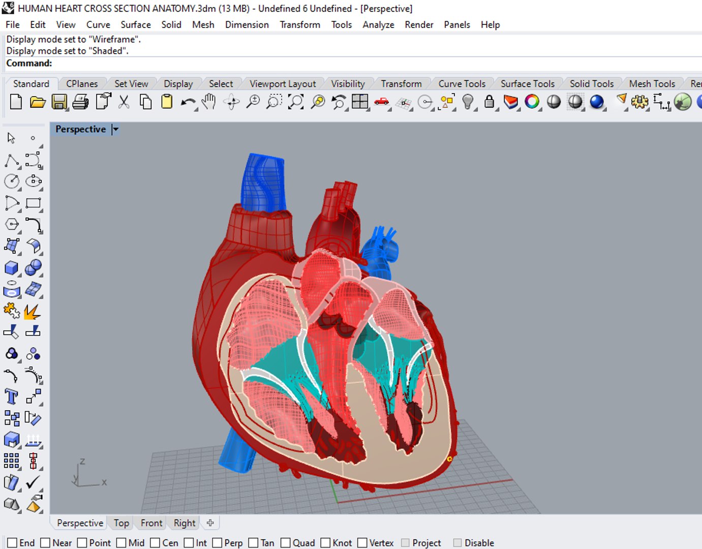 3D Model Humans Heart - TurboSquid 1485241