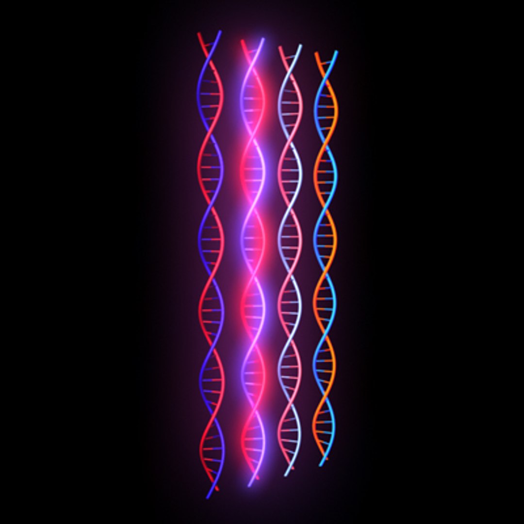 3d Dna Model
