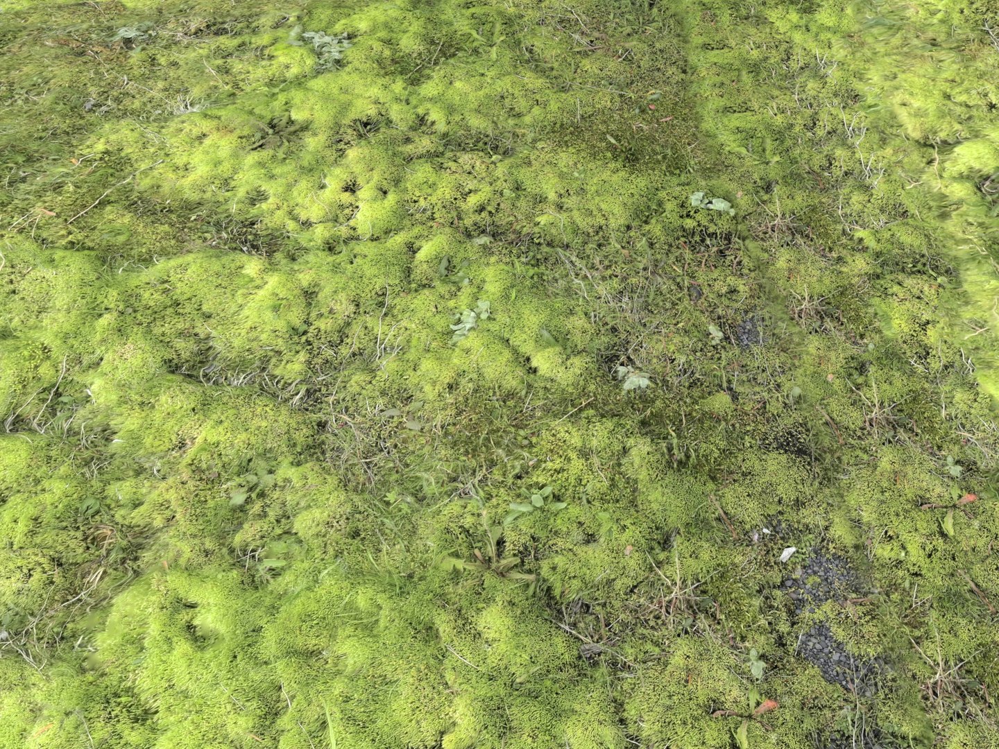 Ground Terrain Iceland 3D Model - TurboSquid 1711171