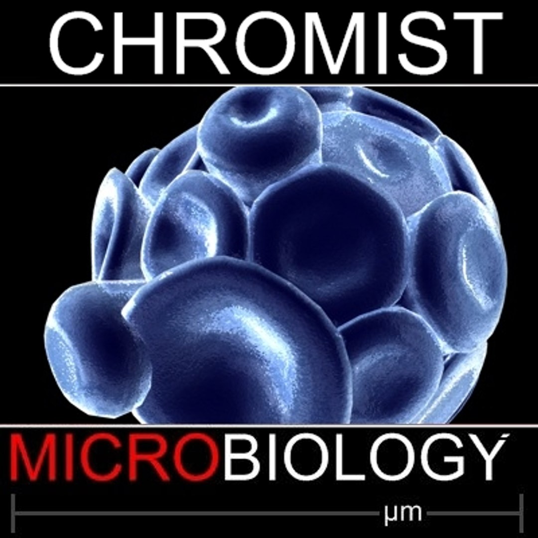 chromist science 3d model