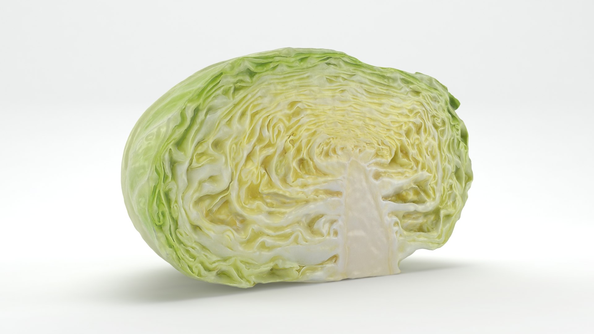 3D Flat Cabbage Half - TurboSquid 2114299