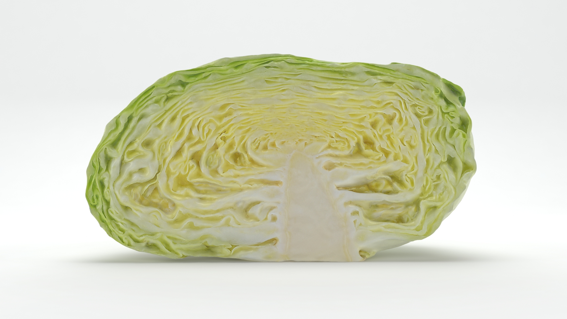3D Flat Cabbage Half - TurboSquid 2114299