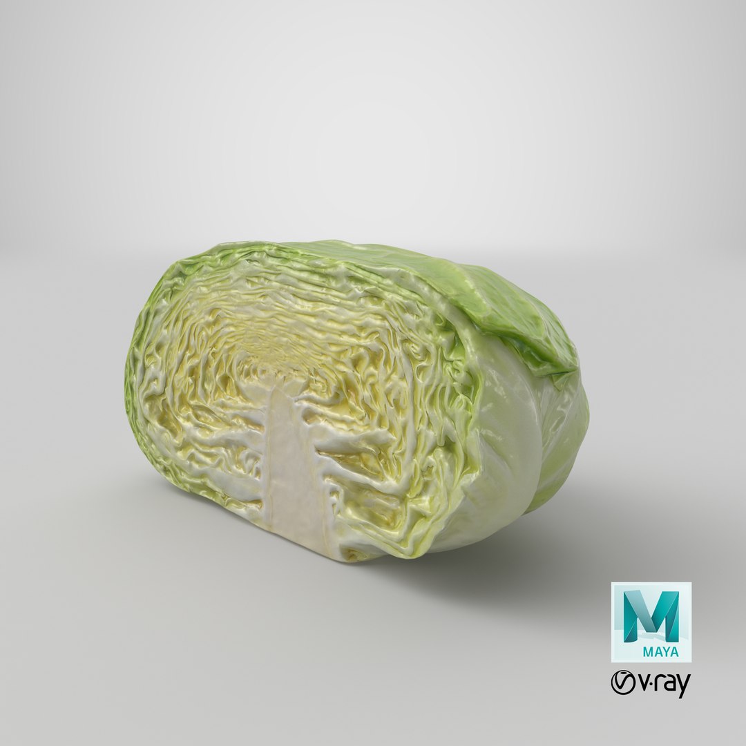 3D Flat Cabbage Half - TurboSquid 2114299
