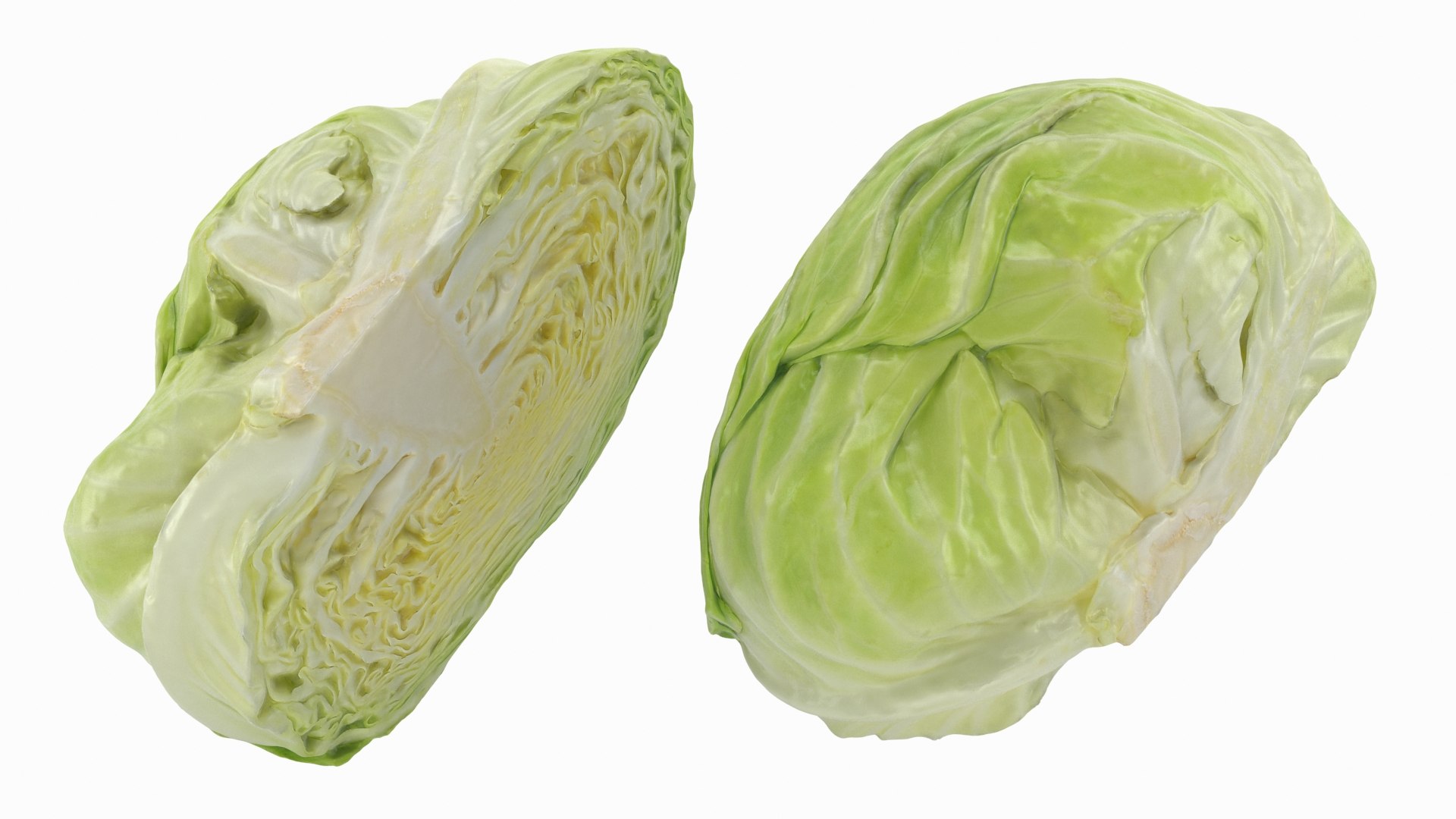 3D Flat Cabbage Half - TurboSquid 2114299