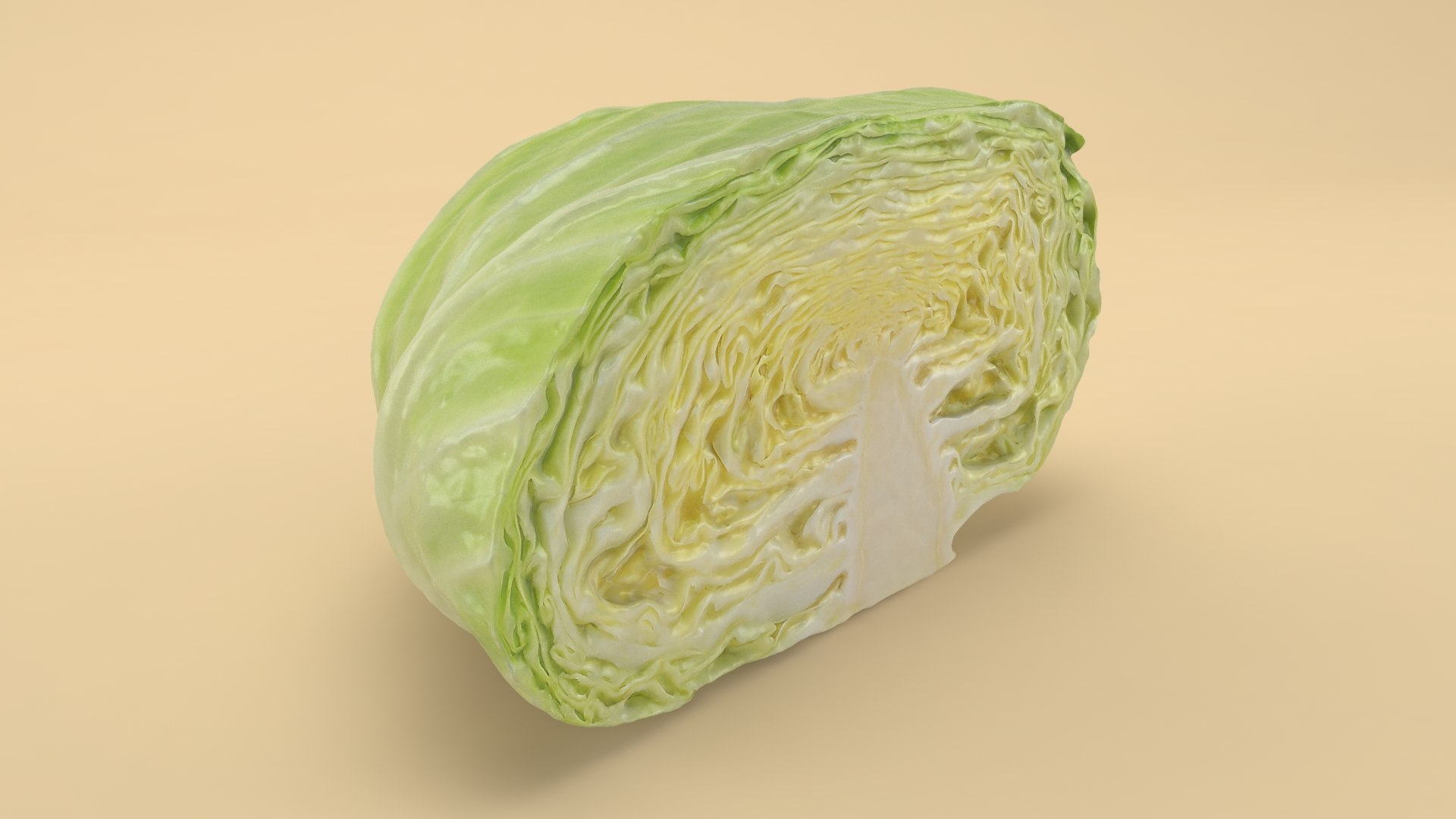 3D Flat Cabbage Half - TurboSquid 2114299