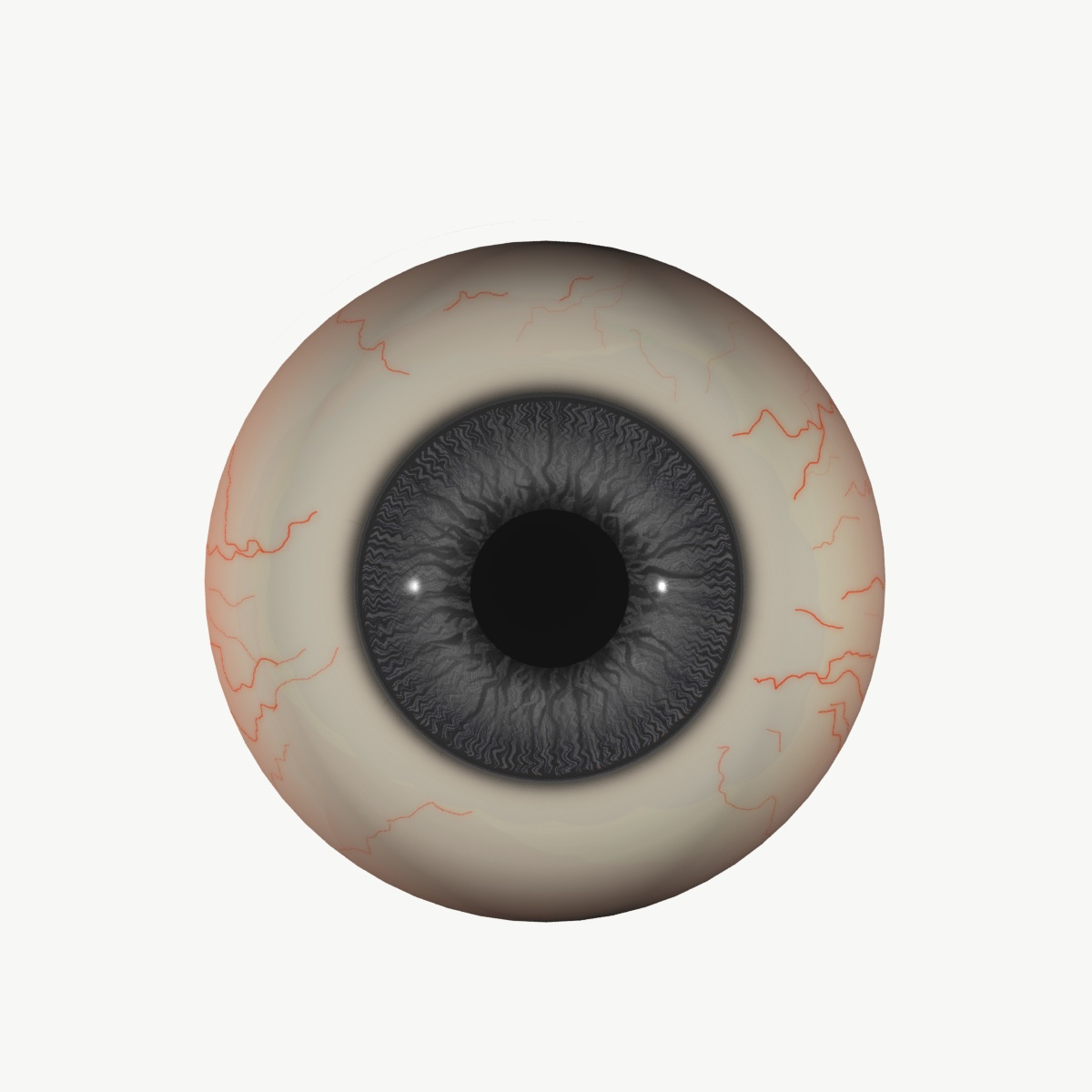 eye ball 3d model