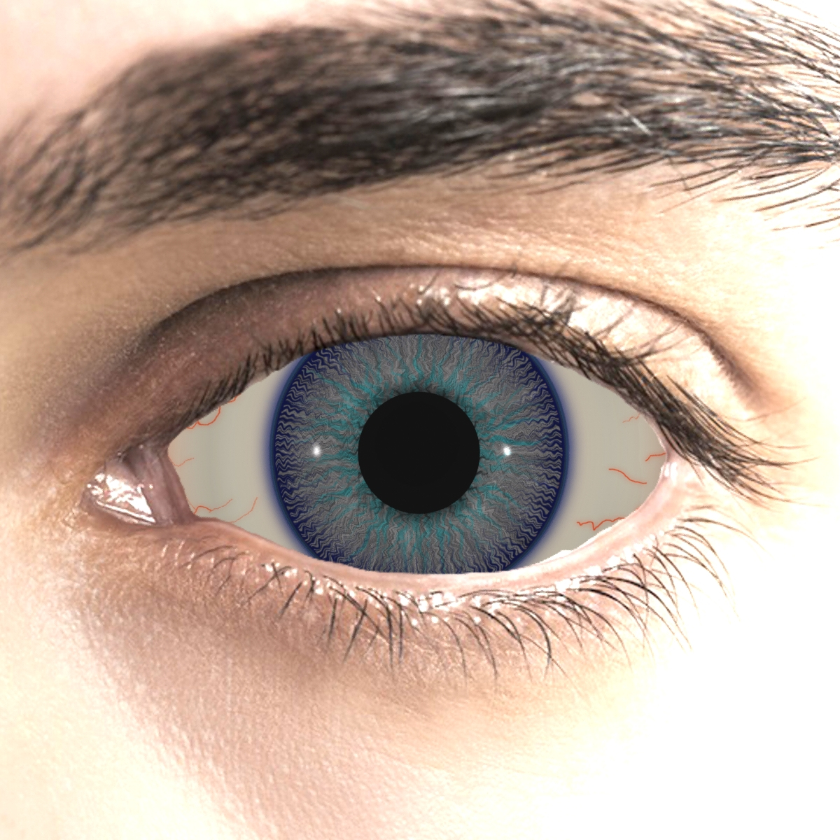 eye ball 3d model