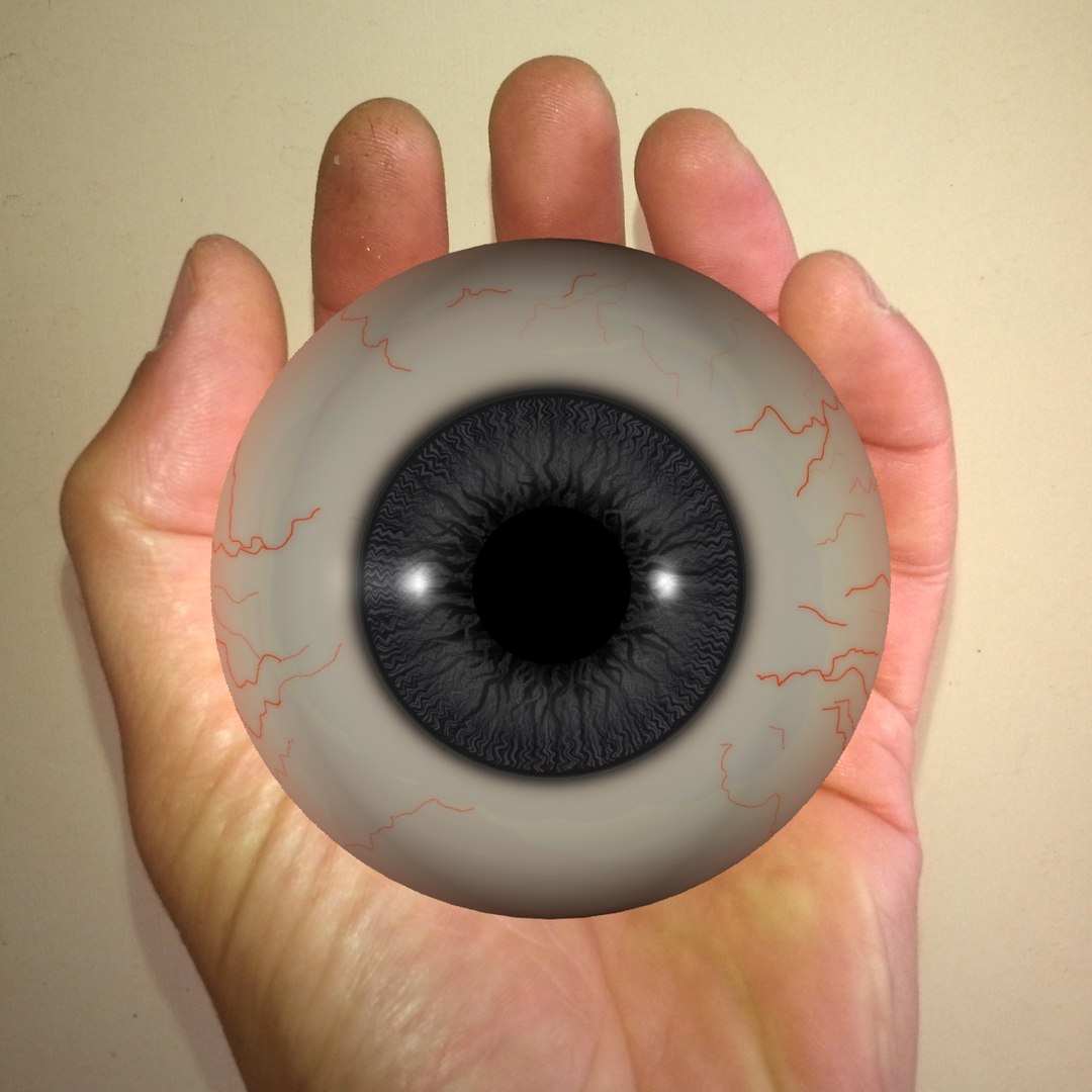 Eye Ball 3d Model
