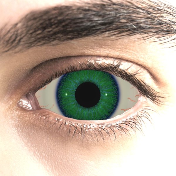 eye ball 3d model