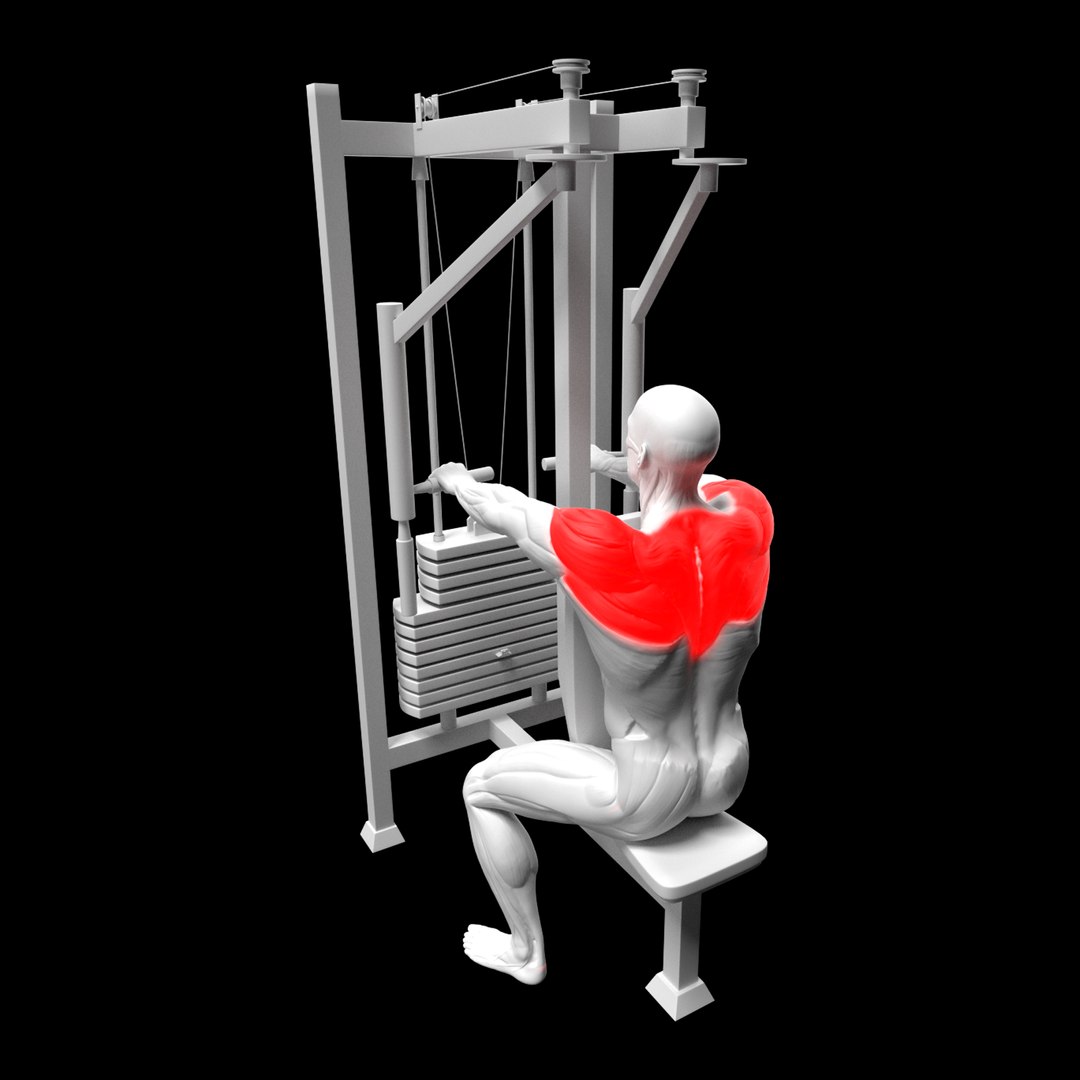 Rear Delt Fly Machine Model - TurboSquid 2229249