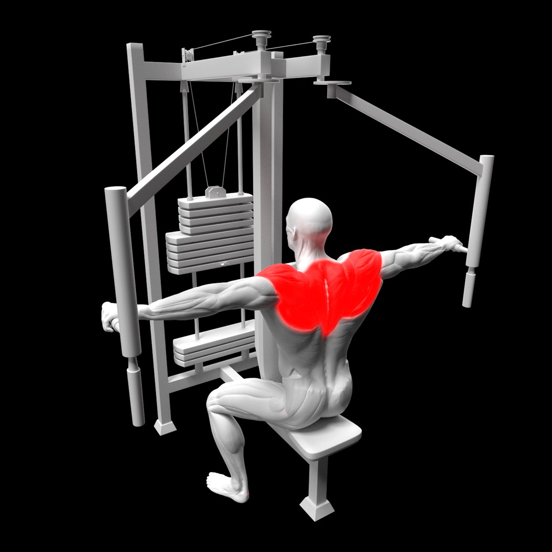 Rear Delt Fly Machine Model - TurboSquid 2229249