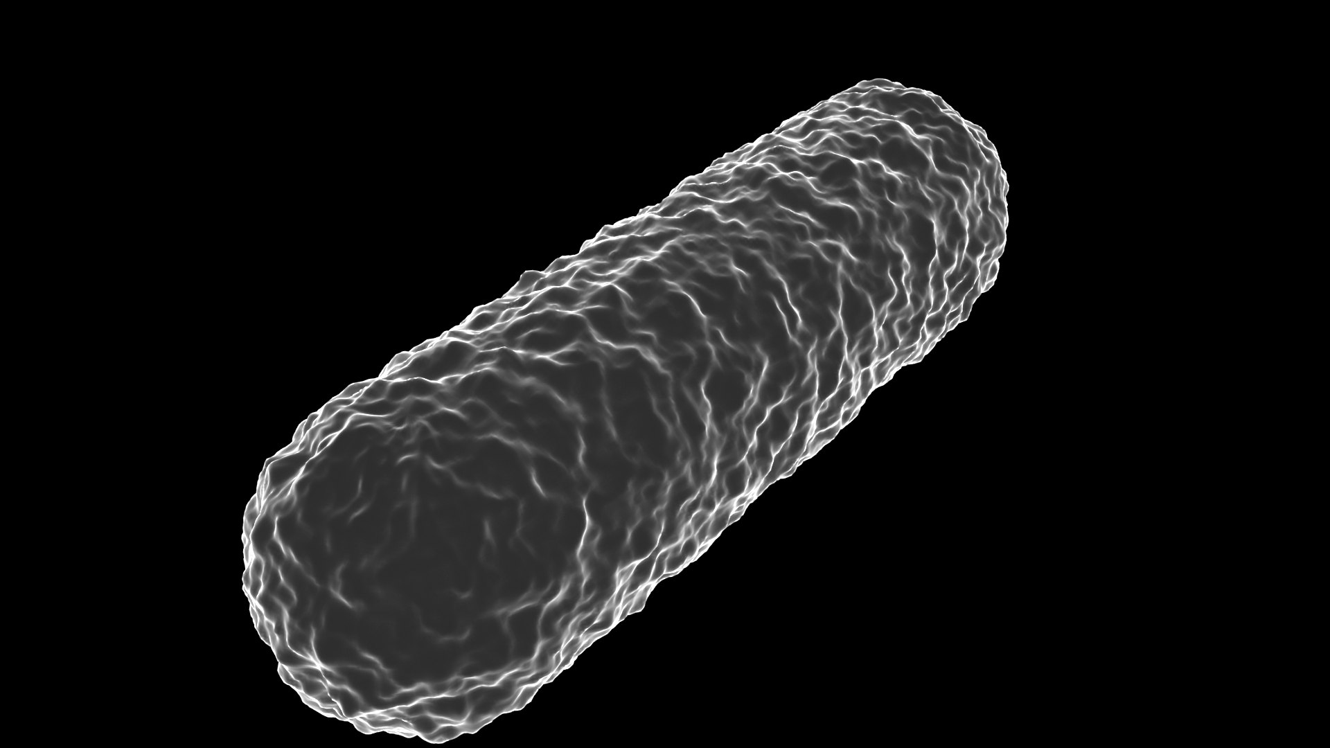 3D Bacilli Model - TurboSquid 1489207