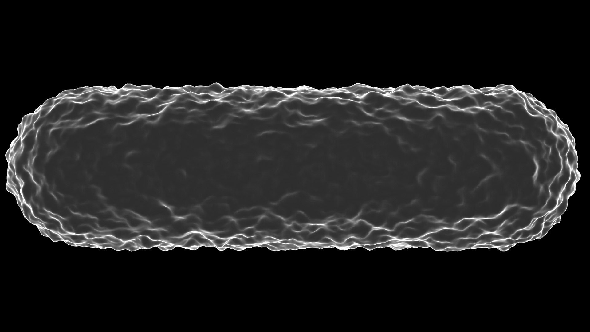 3D Bacilli Model - TurboSquid 1489207