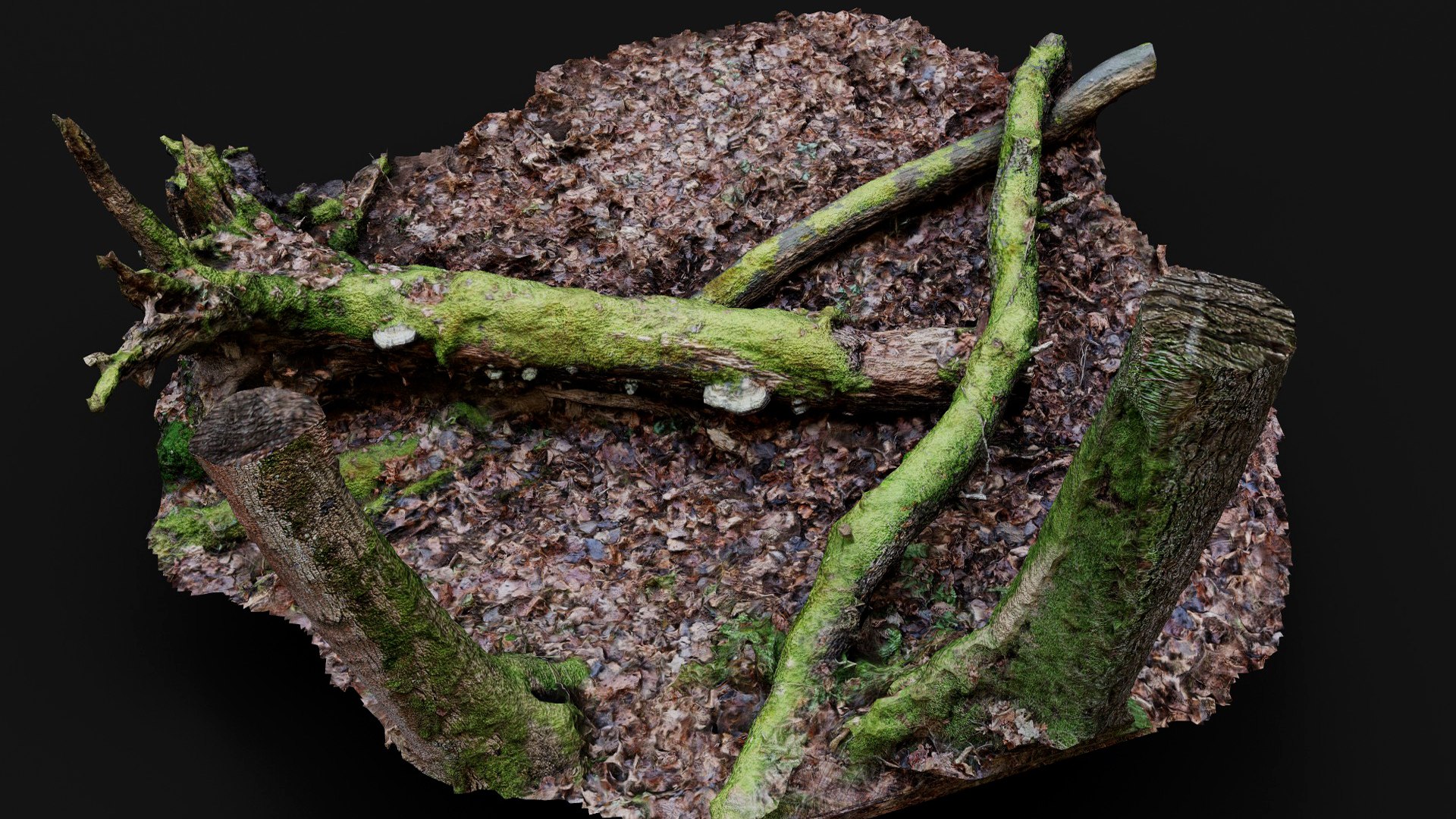 Forest Ground Tree Mossy Branches Debris Pt3 Photogrammetry 3D Model ...