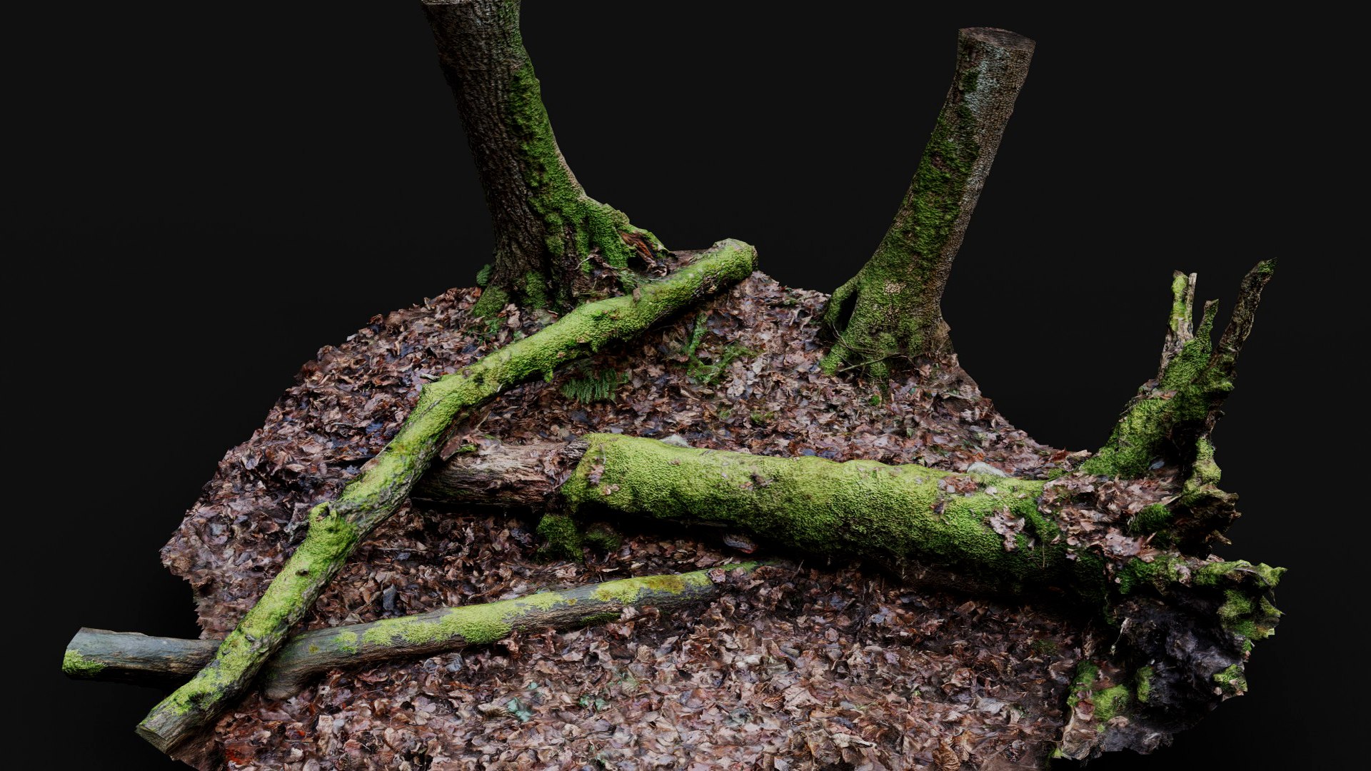 Forest Ground Tree Mossy Branches Debris Pt3 Photogrammetry 3D Model ...
