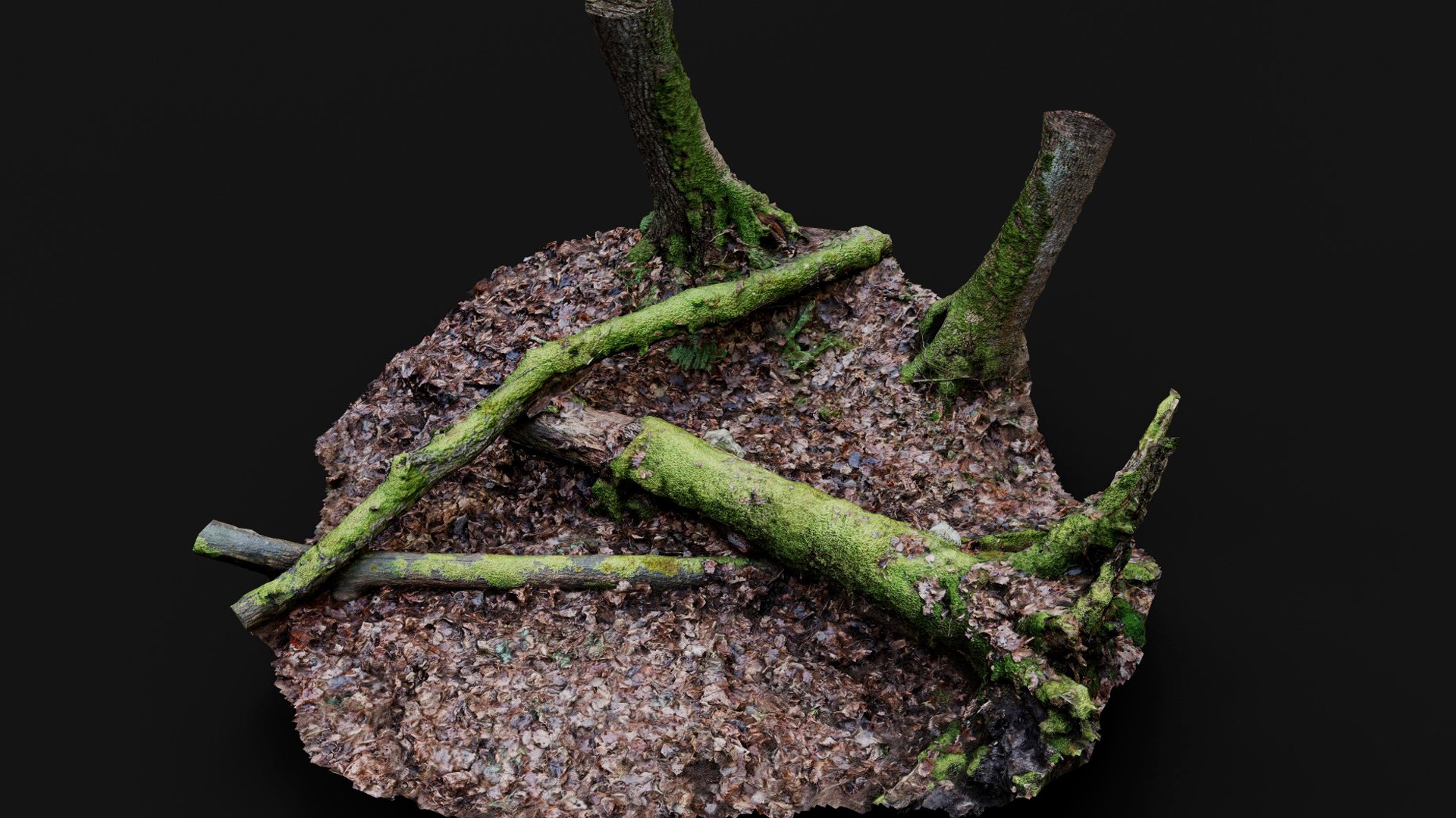 Forest Ground Tree Mossy Branches Debris Pt3 Photogrammetry 3D Model ...