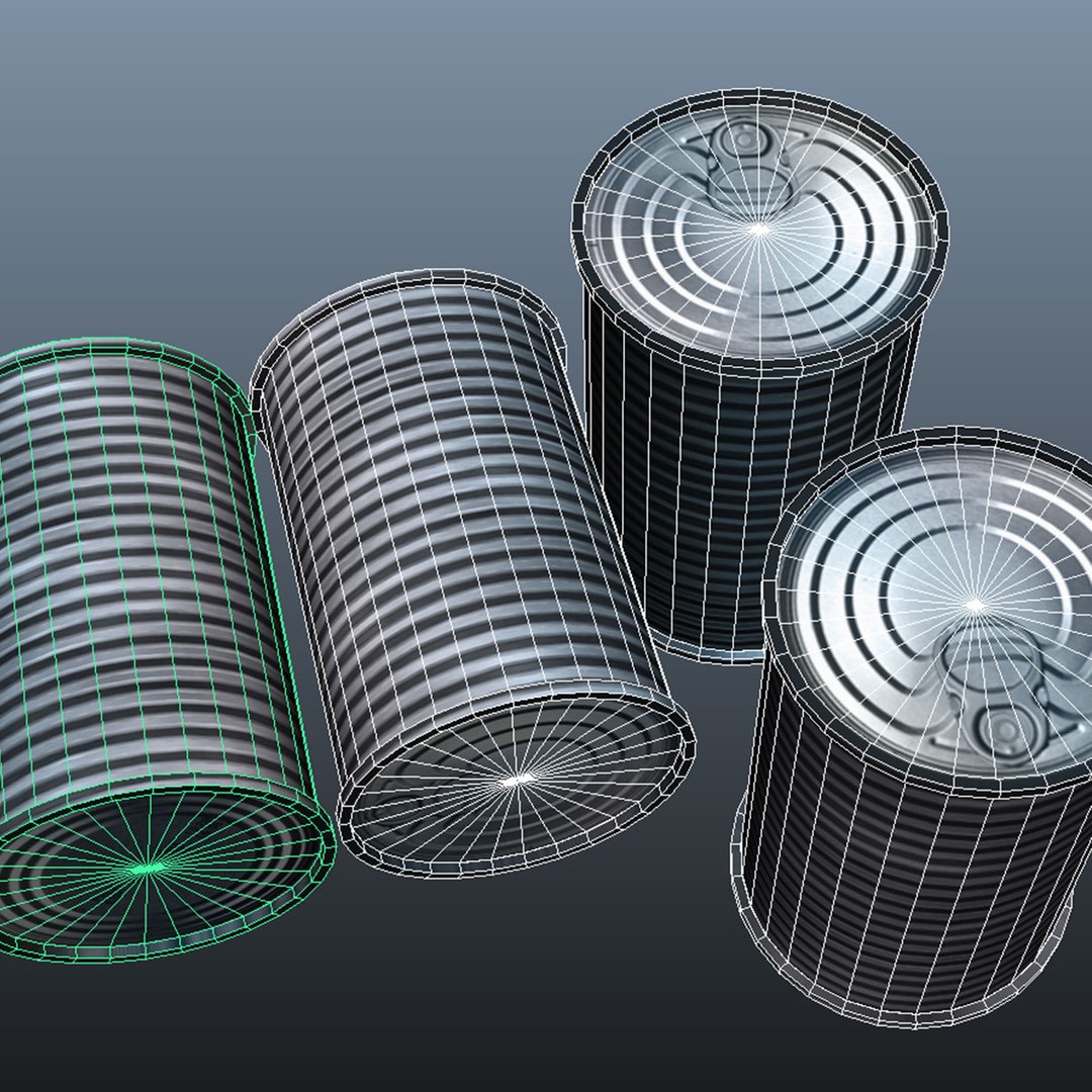 3d model tin